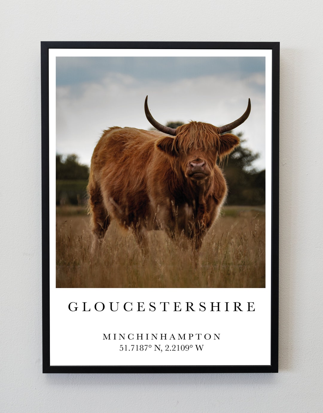 Highland Cow Print: UK Wildlife Photography, Rural Decor - Etsy