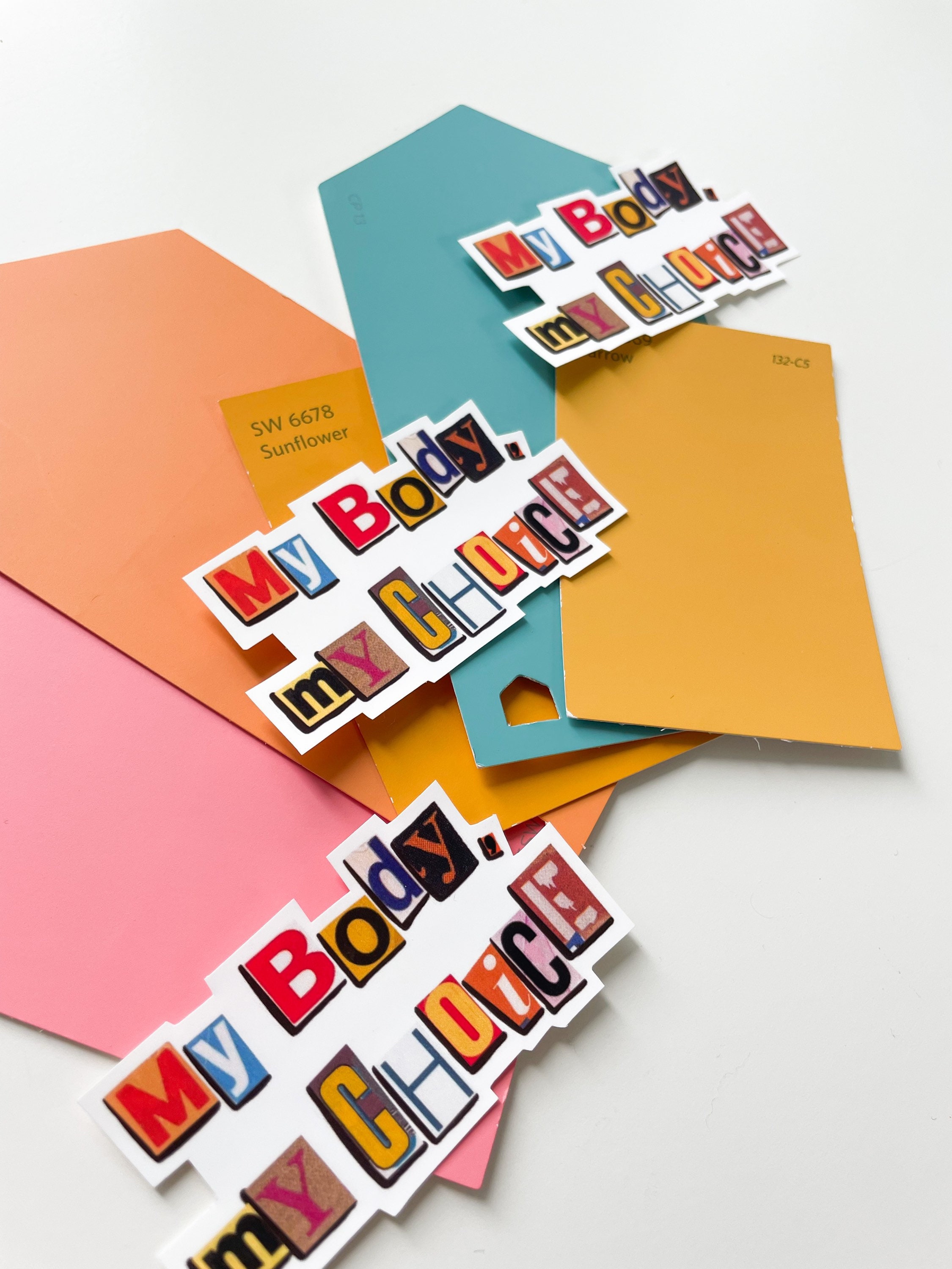 My Body, My Choice Sticker/weatherproof Stickers/laptop Stockers ...