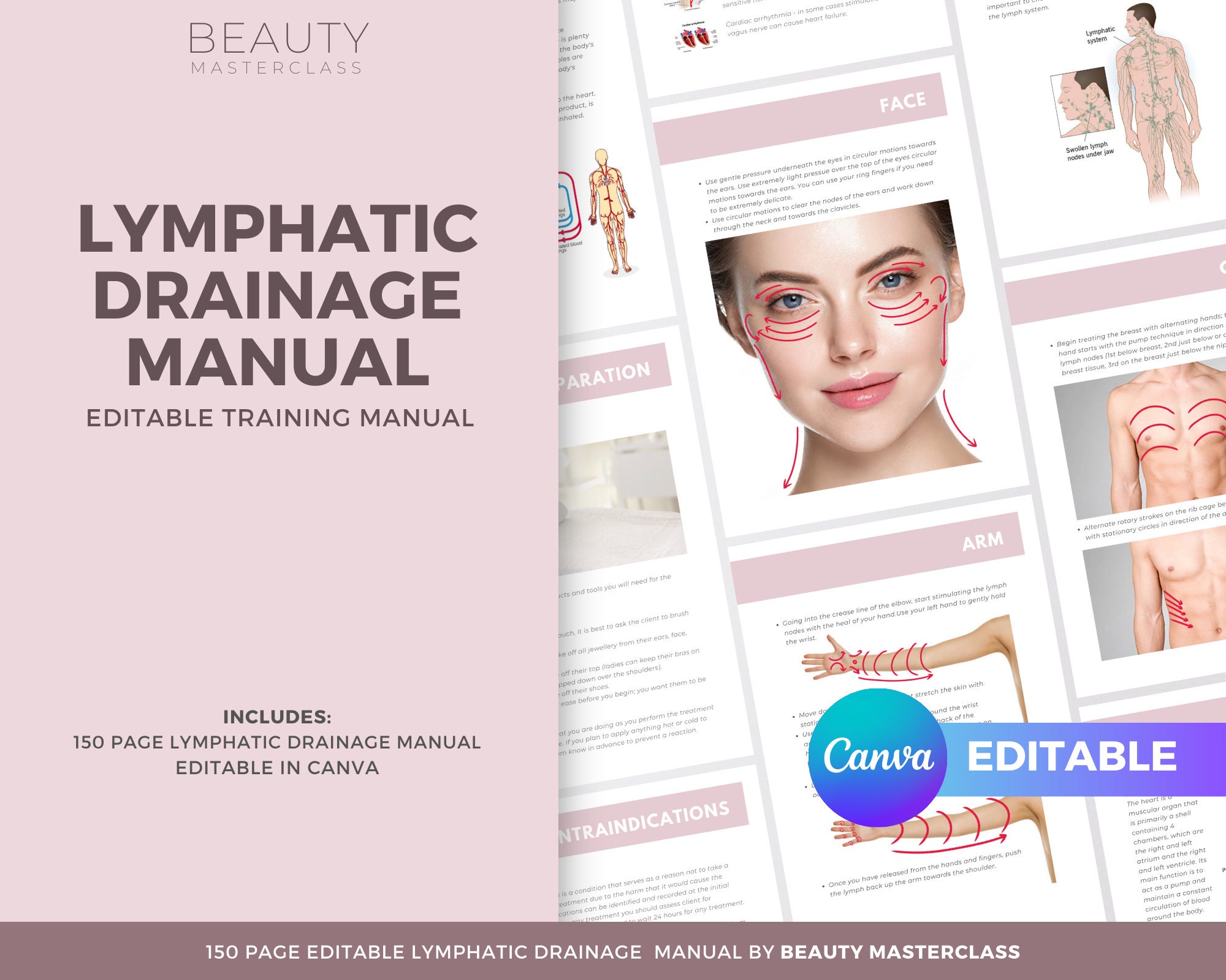 Lymphatic Drainage Training Manual Editable MLD Lymphatic - Etsy Canada
