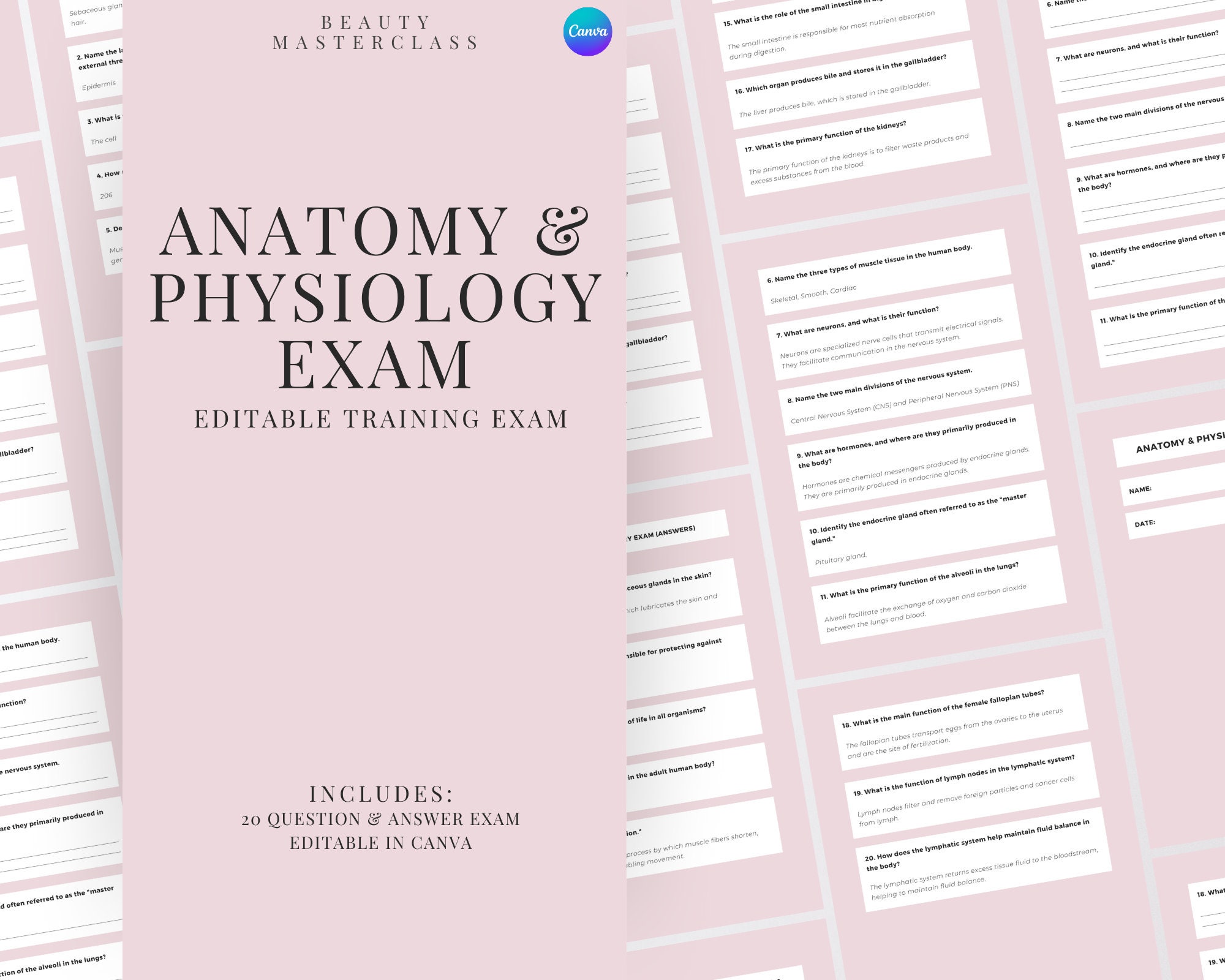 Anatomy & Physiology Exam for Certification 20 Questions and Answers ...