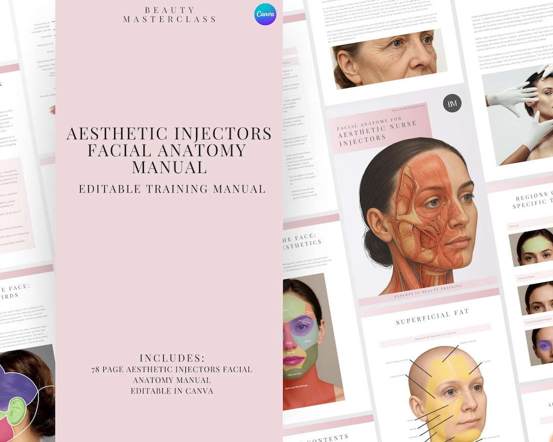 Facial Anatomy for Aesthetic Injectors Editable Training Manual ...