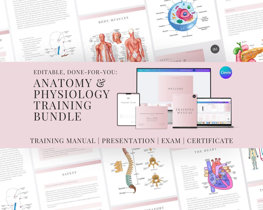 Anatomy and Physiology Level 3 Training Bundle - Presentation, Training ...