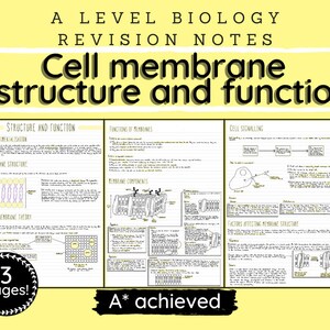 A Level Biology Revision Notes-"cell Membrane Structure and Function ...