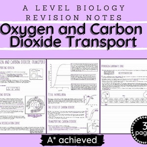 A Level Biology Revision Notes-"oxygen and Carbon Dioxide Transport" - Etsy