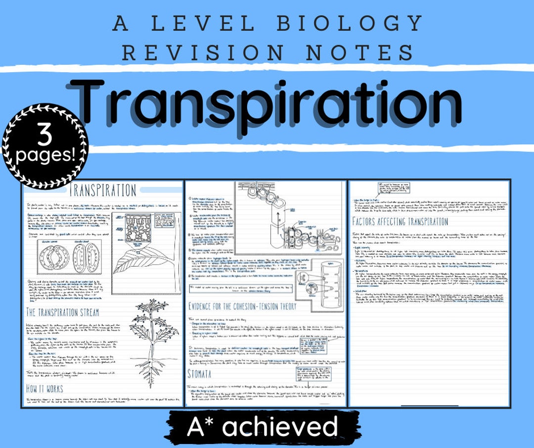 A Level Biology Revision Notes-"transpiration" - Etsy