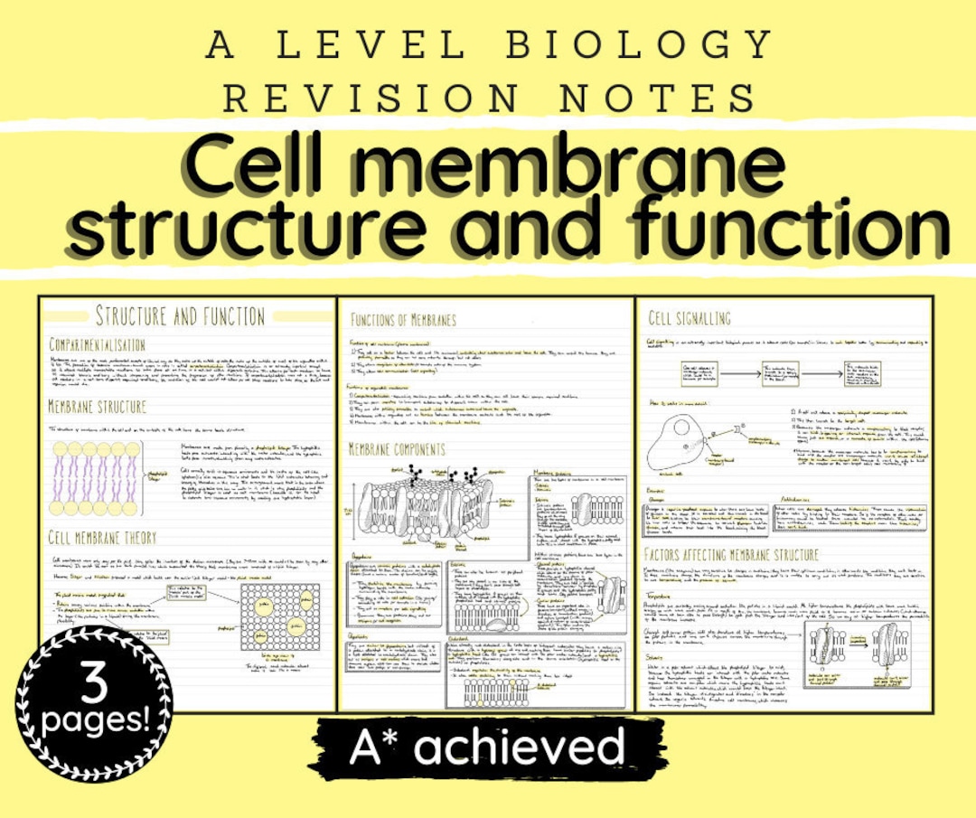 A Level Biology Revision Notes-"cell Membrane Structure and Function ...