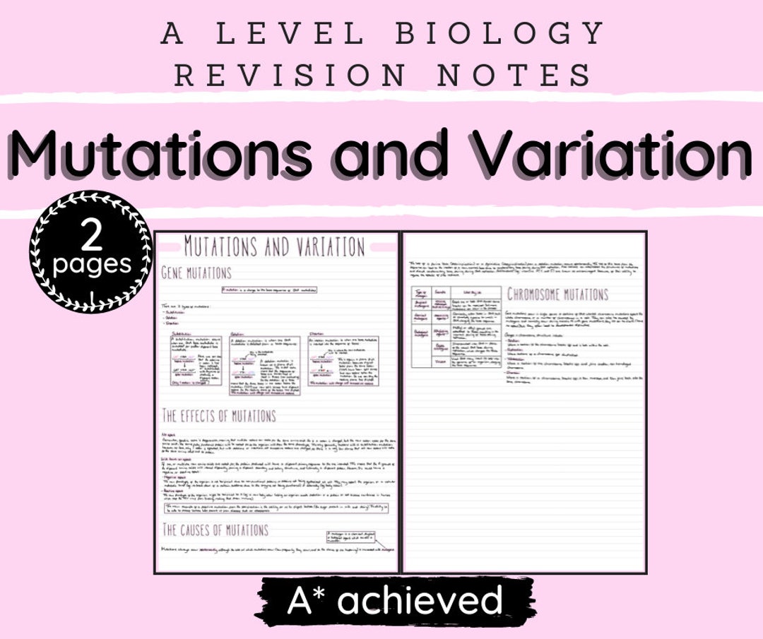 A Level Biology Revision Notes - “mutations and Variation” - Etsy
