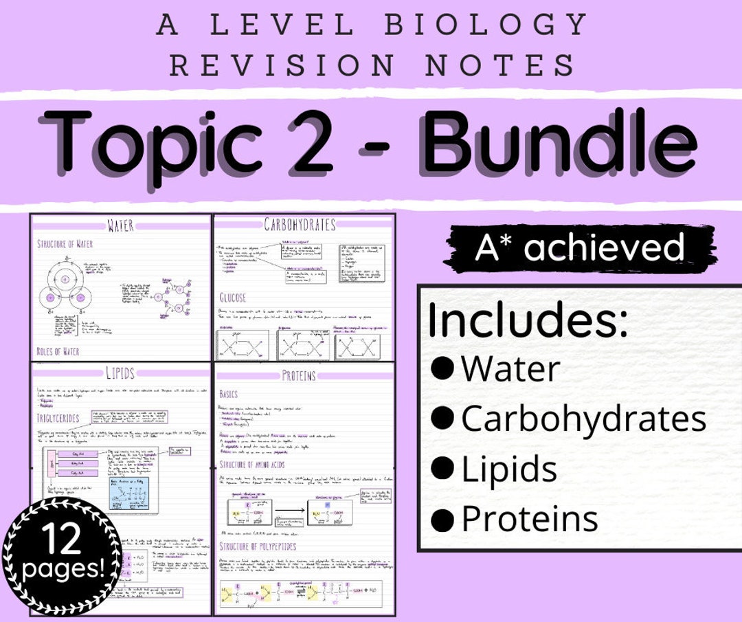 A Level Biology Revision Notes Bundle module 2 Biological Molecules - Etsy