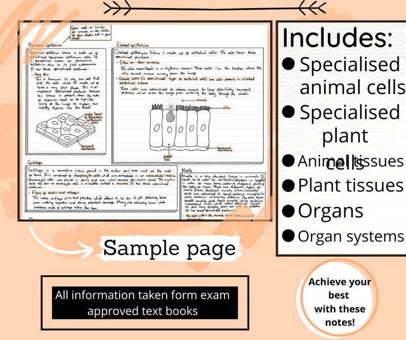 A Level Biology Revision Notes-"the Organisation and Specialisation of ...
