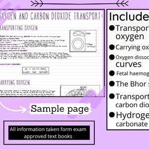 A Level Biology Revision Notes-"oxygen and Carbon Dioxide Transport" - Etsy