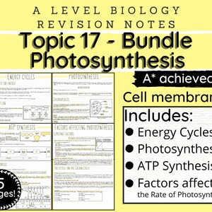 A Level Biology Revision Notes Bundle - “topic 17 - Photosynthesis” - Etsy