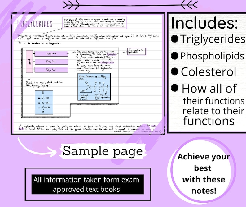 A Level Biology Revision Notes - “lipids” - Etsy