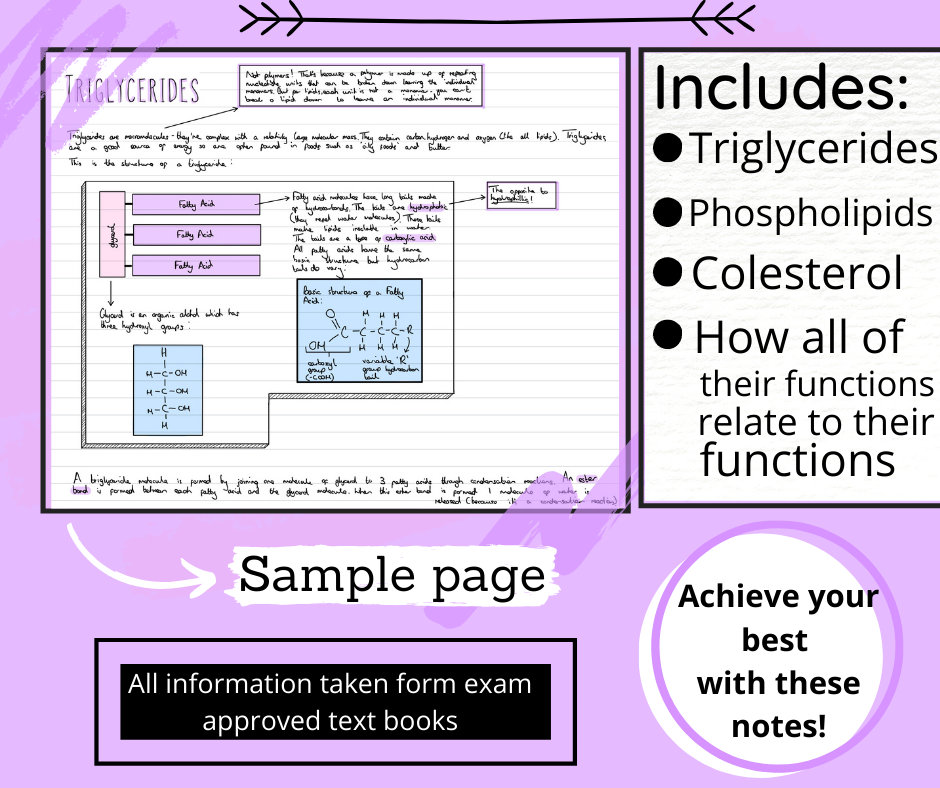A Level Biology Revision Notes - “lipids” - Etsy UK