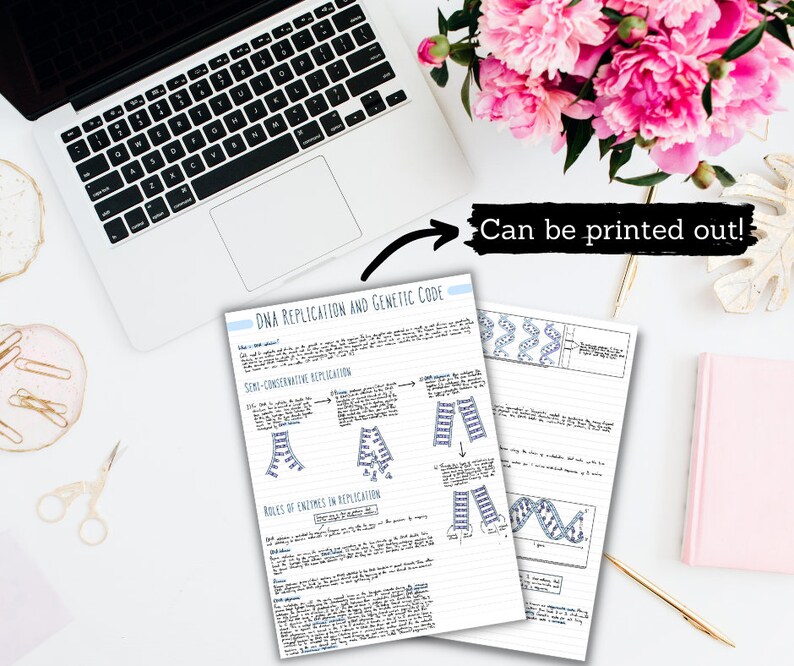 A Level Biology Revision Notes - “DNA Replication and Genetic Code” - Etsy