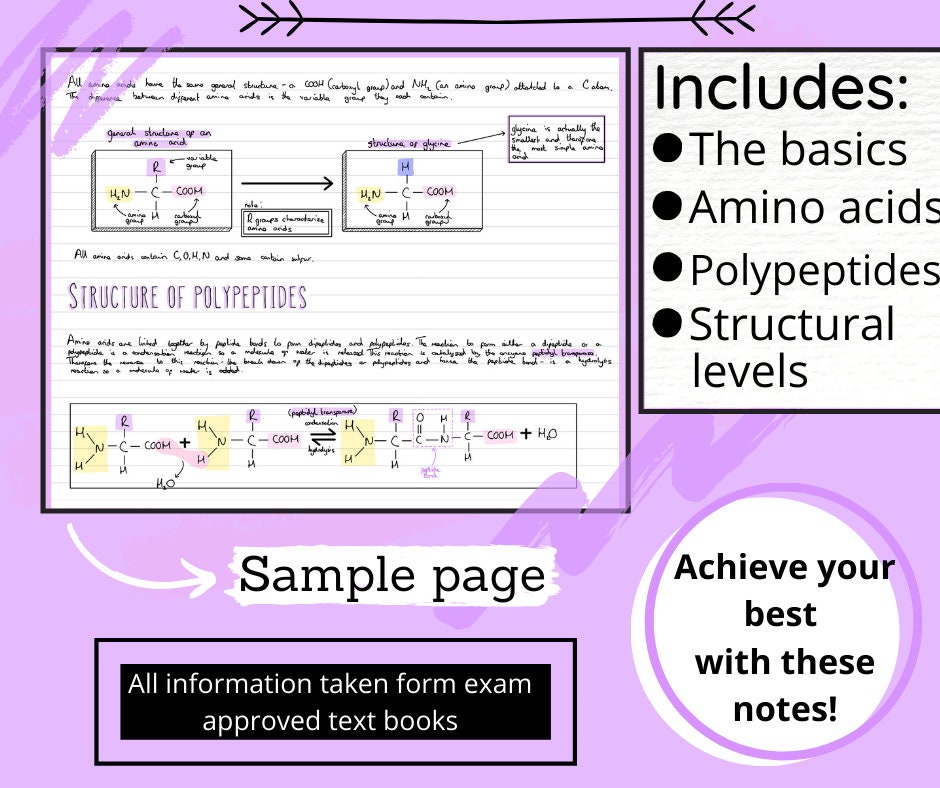 A Level Biology Revision Notes- “proteins” - Etsy UK
