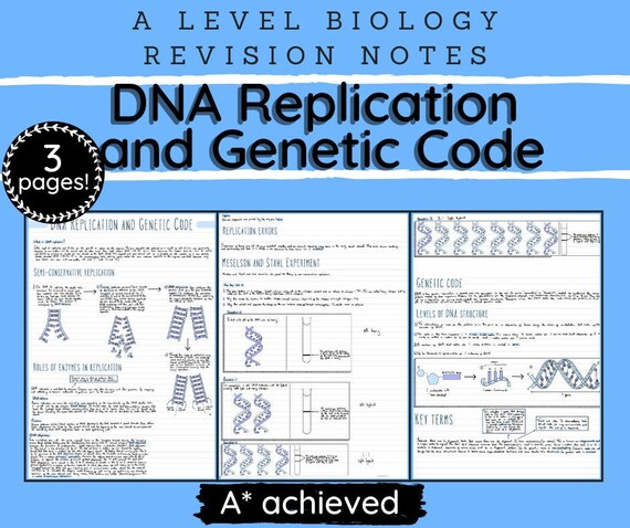 A Level Biology Revision Notes DNA Replication and Genetic - Etsy