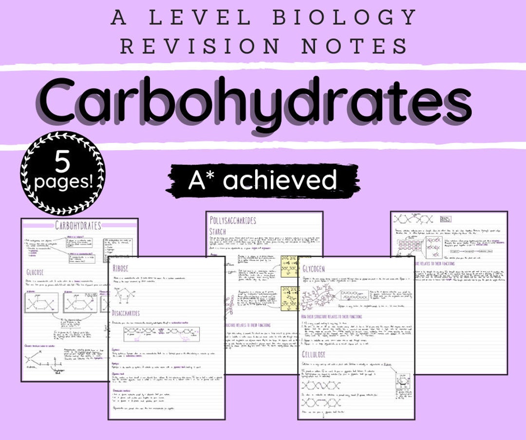 A Level Biology Revision Notes-"carbohydrates" - Etsy