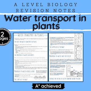 A Level Biology Revision Notes-"water Transport in Plants" - Etsy