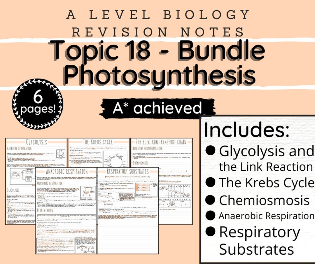 A Level Biology Revision Notes Bundle - “topic 18 - Respiration” - Etsy