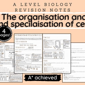 A Level Biology Revision Notes-"the Organisation and Specialisation of ...