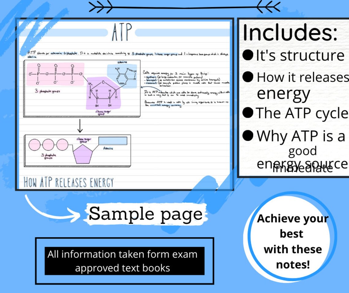 A Level Biology Revision Notes ATP - Etsy