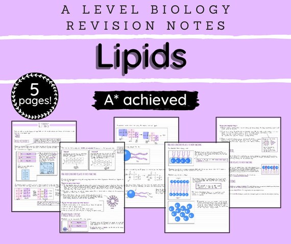 A Level Biology Revision Notes Lipids | Etsy