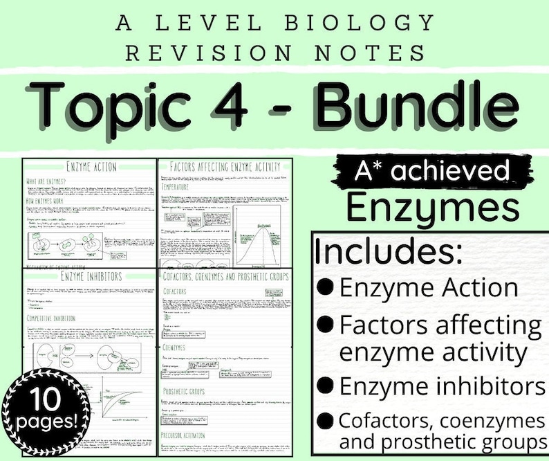 A Level Biology Revision Notes Bundle topic 4 Enzymes - Etsy