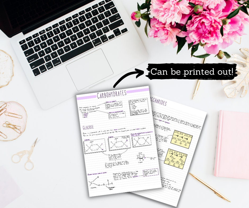 A Level Biology Revision Notes-"carbohydrates" - Etsy