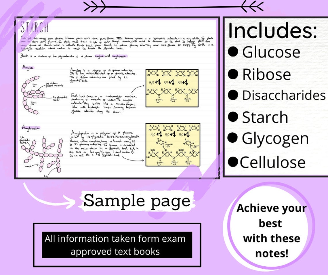 A Level Biology Revision Notes-"carbohydrates" - Etsy