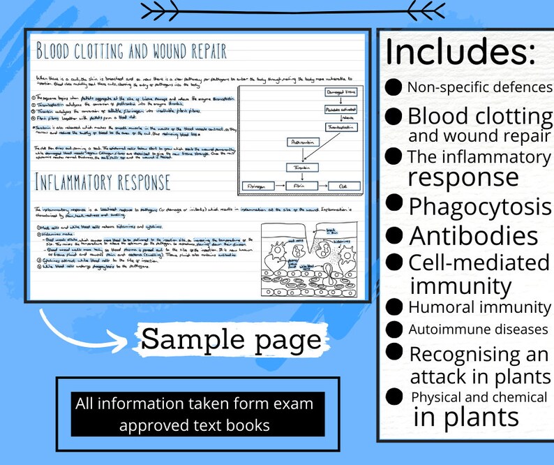 A Level Biology Revision Notes - “the Specific and Non-specific Immune ...