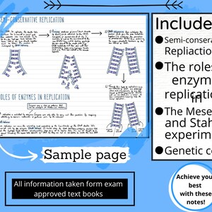 A Level Biology Revision Notes - “DNA Replication and Genetic Code” - Etsy