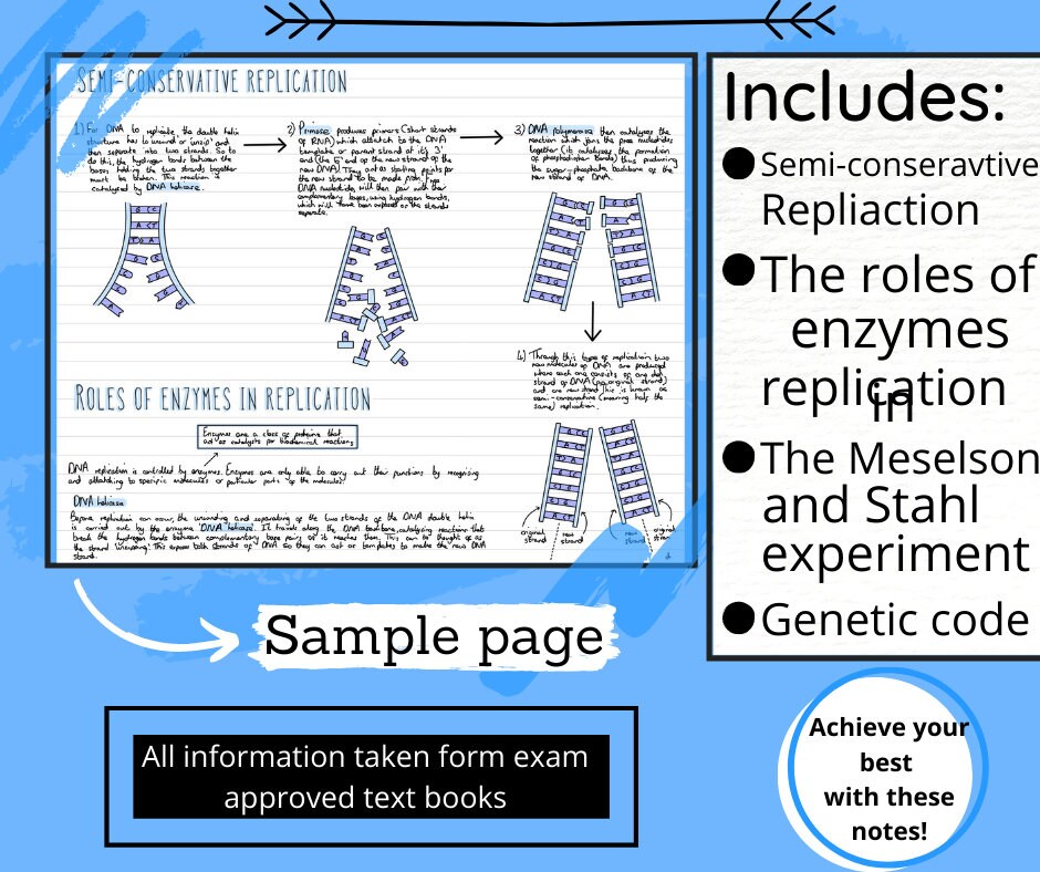 A Level Biology Revision Notes - “DNA Replication and Genetic Code” - Etsy