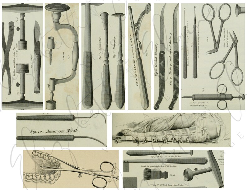 Vintage Ephemera Kit || Vintage Medical Ephemera || Vintage Anatomy ...