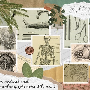 Vintage Ephemera Kit || Vintage Medical Ephemera || Vintage Anatomy ...