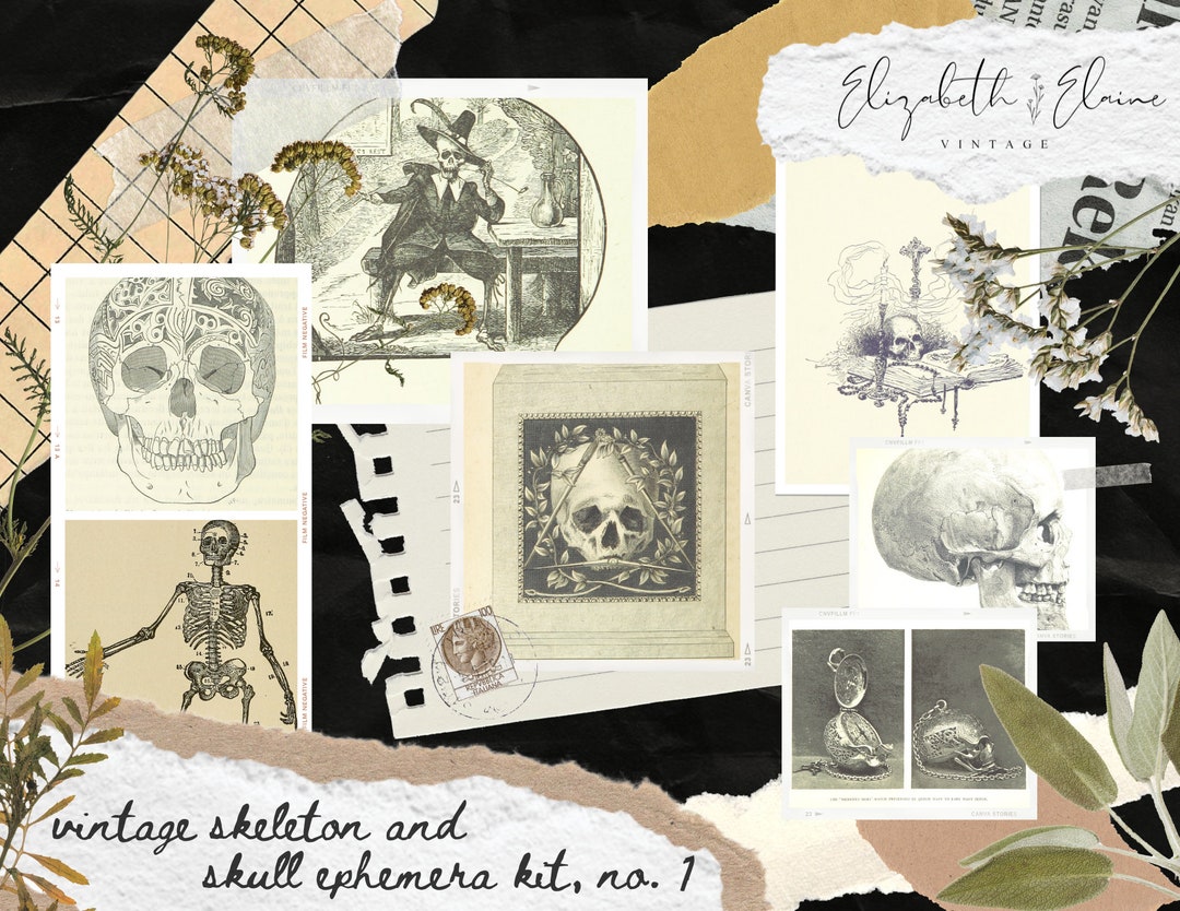 Vintage Ephemera Kit || Vintage Skull Ephemera || Vintage Skeleton ...