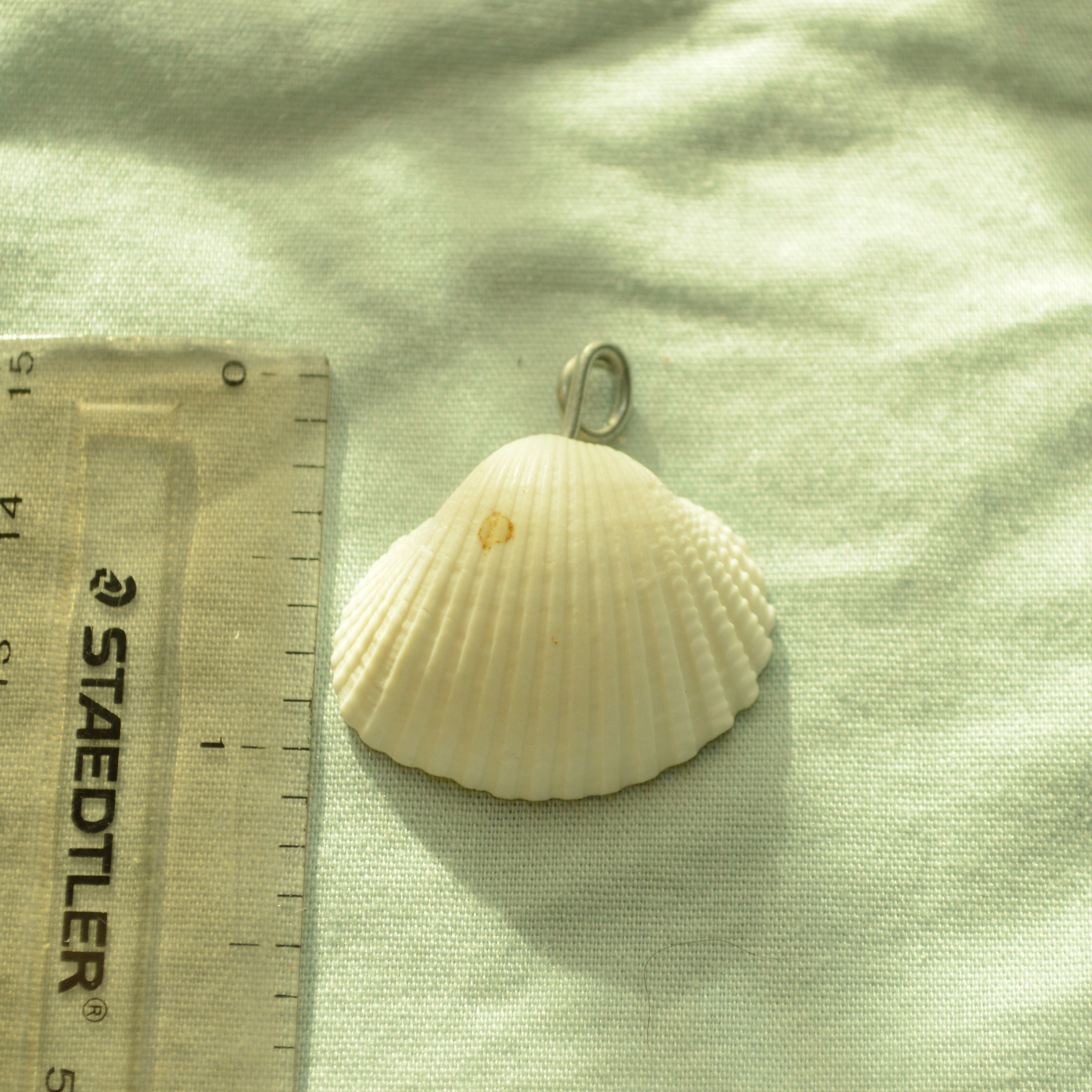 White Shell Pendant - Etsy