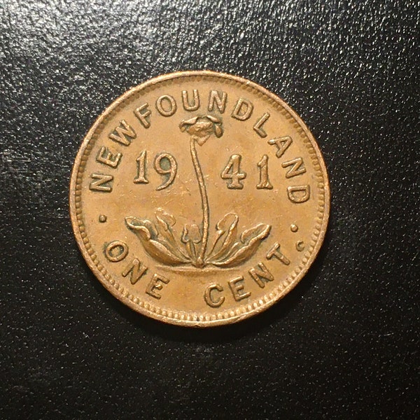 Newfoundland Coin - Etsy