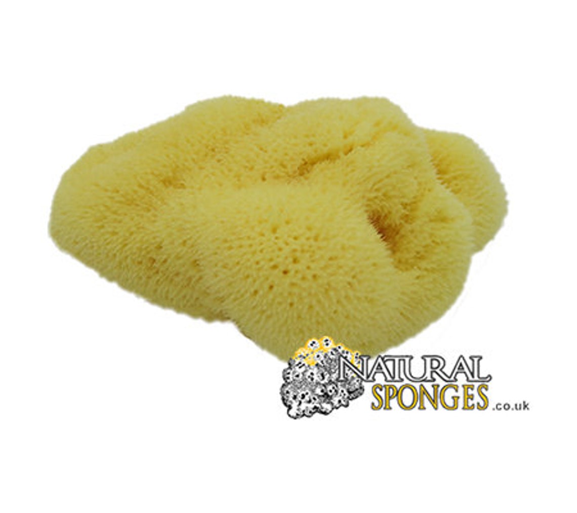 4 Inches, Silk Fina' Natural Sea Sponge for Facial Care, Washing, Baby ...