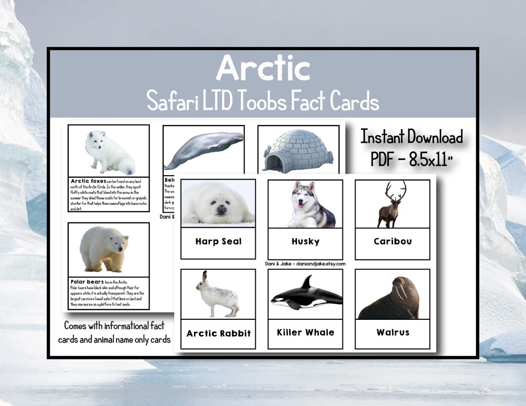 Arctic Toob | Safari LTD | Identification Cards | Fact Cards | Arctic ...