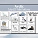 Arctic Toob | Safari LTD | Identification Cards | Fact Cards | Arctic ...