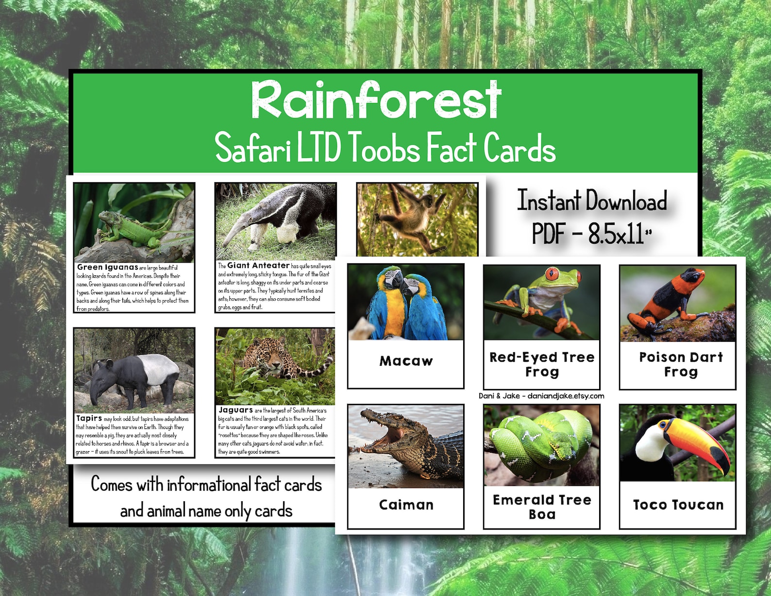 Rainforest Toob | Safari LTD | Identification Cards | Fact Cards ...
