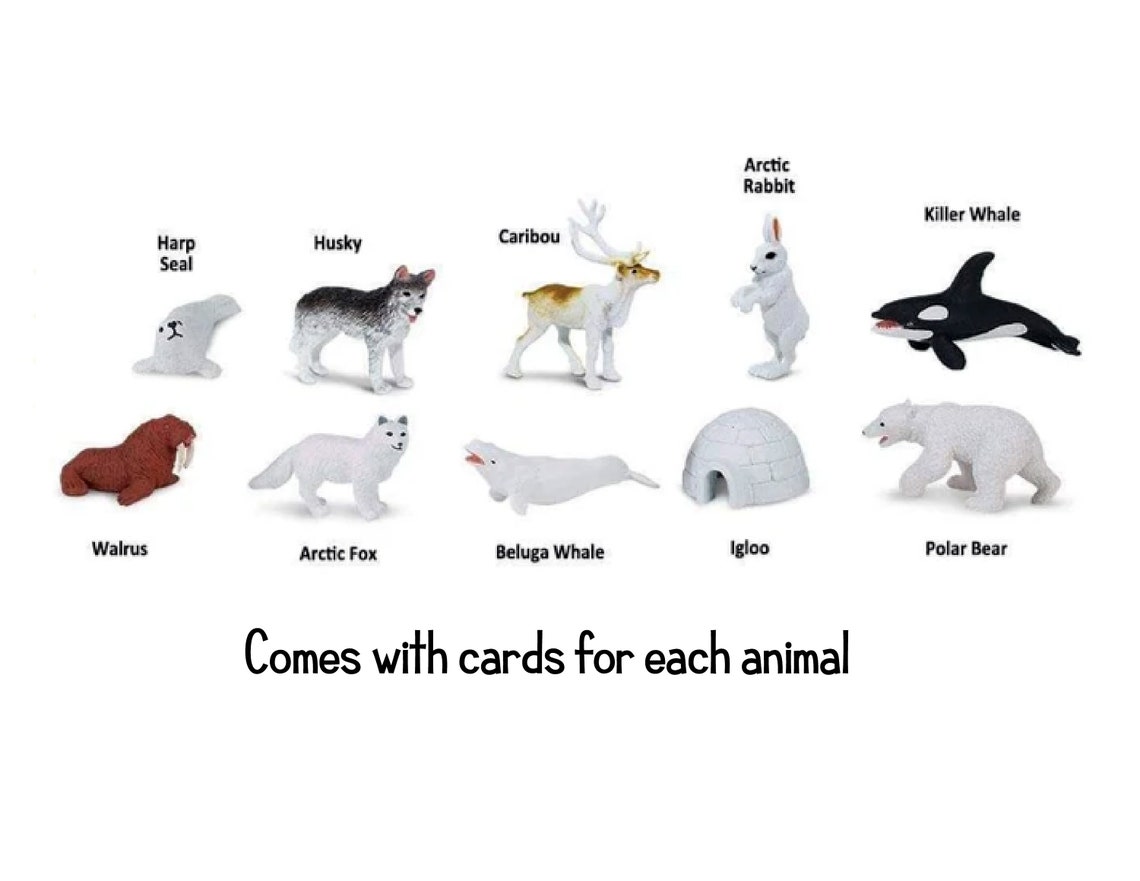 Arctic Toob | Safari LTD | Identification Cards | Fact Cards | Arctic ...