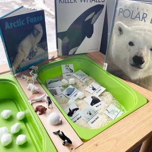 Arctic Toob | Safari LTD | Identification Cards | Fact Cards | Arctic ...