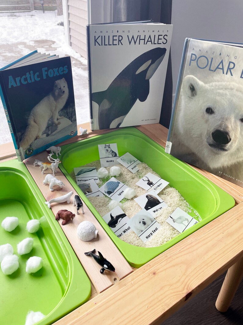 Arctic Toob | Safari LTD | Identification Cards | Fact Cards | Arctic ...