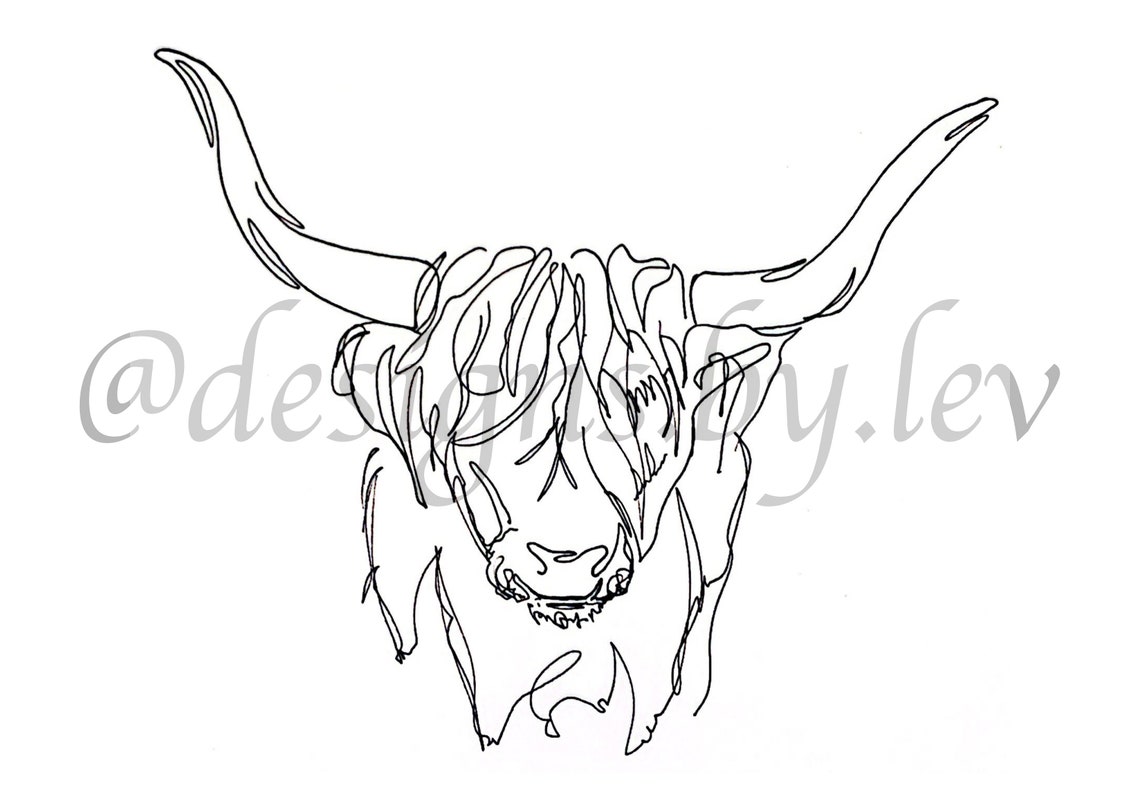 Highland Cow PRINT A4 Line Drawing - Etsy Canada