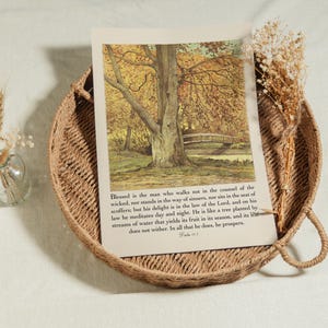 Psalm 1 Christian Wall Art for Fall, Thanksgiving | Scripture, Bible ...