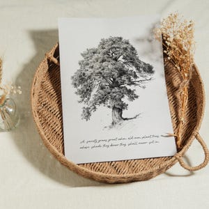 Vintage Tree Art Quote, Greek Proverb | Vintage Wall Art | Ecology ...