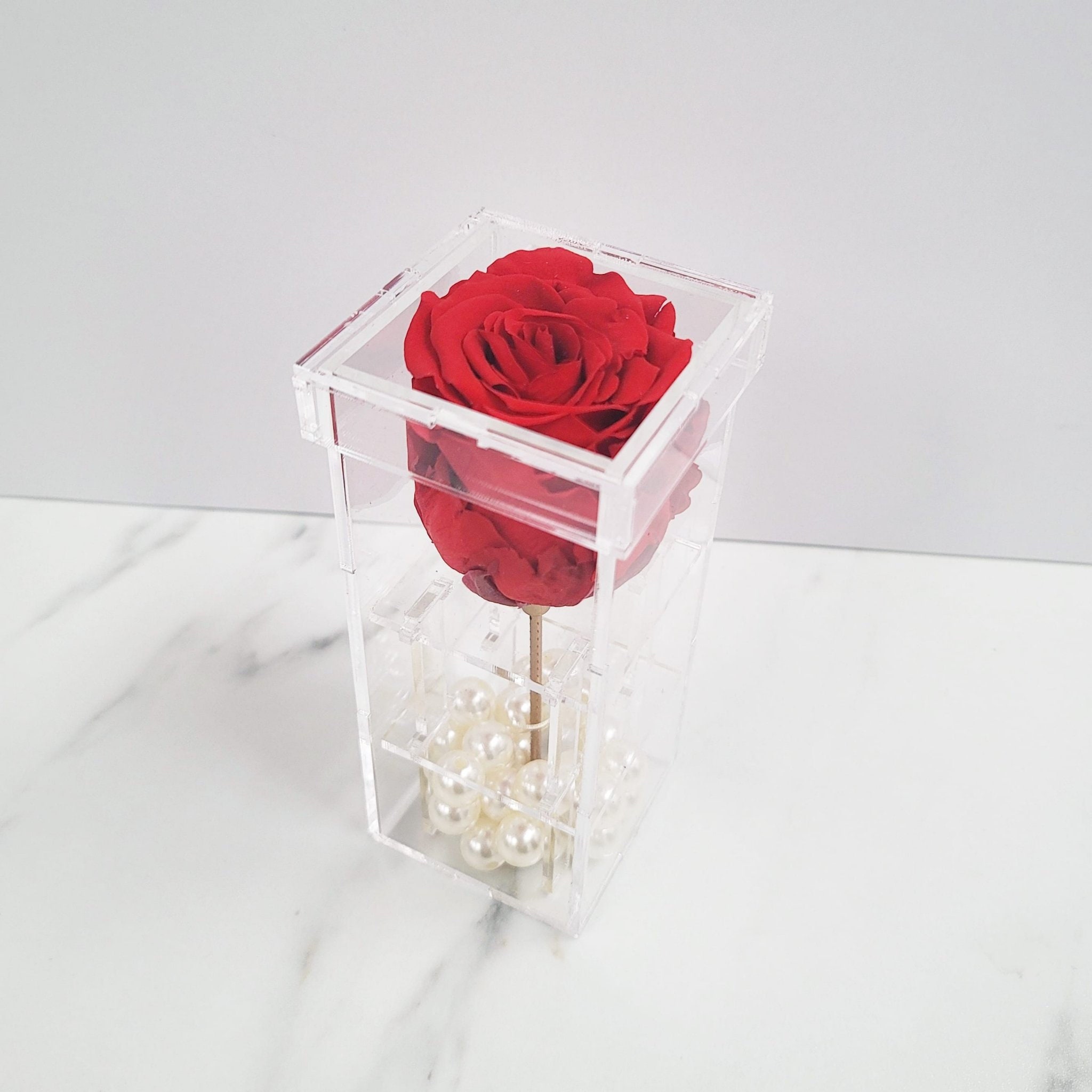 Preserved Rose in Luxe Acrylic Box Acrylic Rose Box Eternal - Etsy