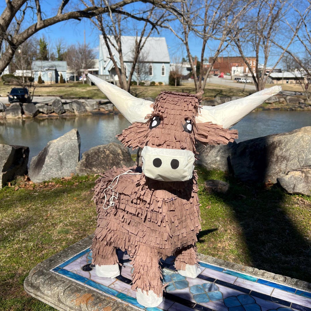 Cow Pinata 32x24x4.5 Highland Bull Cow Birthday Farm - Etsy