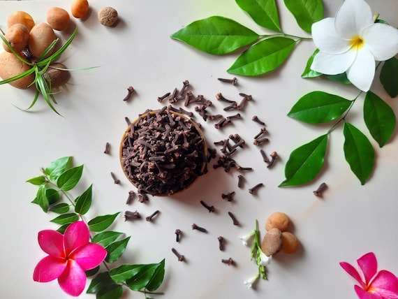 Ceylon Cloves karabu Neti Syzygium Aromaticum 100% Natural - Etsy